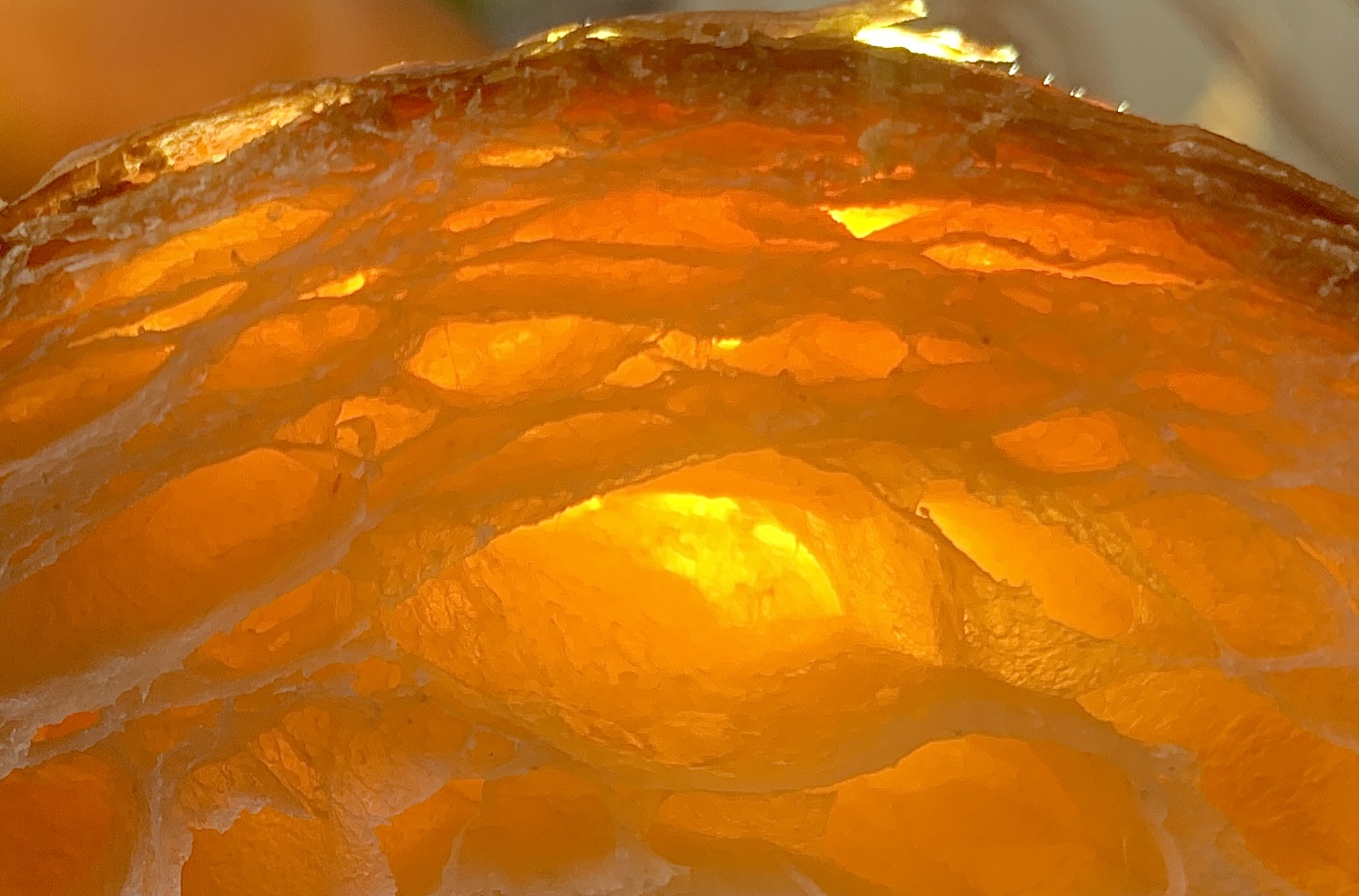 Good Fat Pastry | Plant-Based Pastries | Blue Mountains Bakery